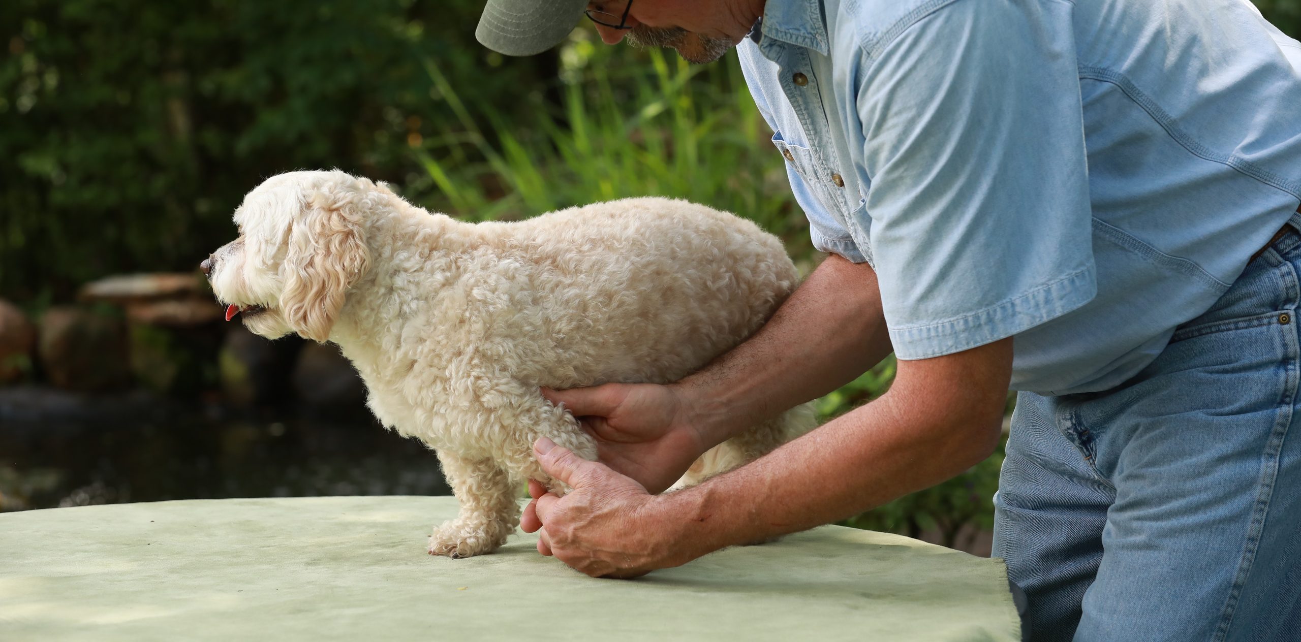 Introducing Movement Course | The Masterson Method