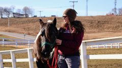 Tina A. Cormier, MMCP, Coach | Certified Equine Practitioner | Masterson Method